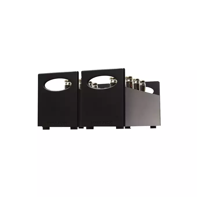 Monoblocks Rogue Audio Apollo Dark